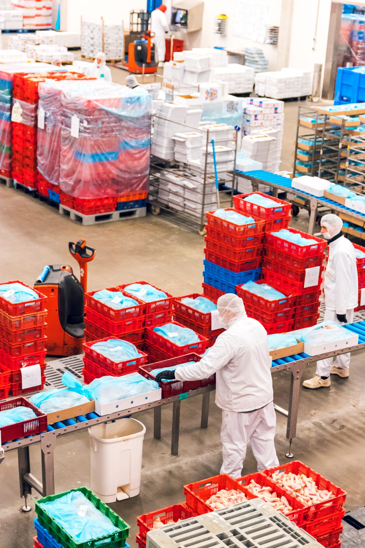 Esbro - Holland Poultry